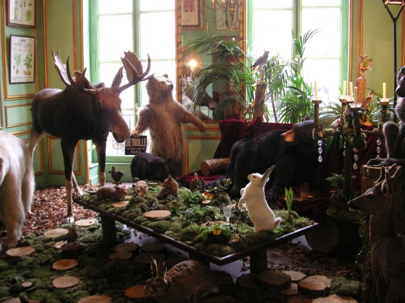 Top 5 Strangest Paris Museums